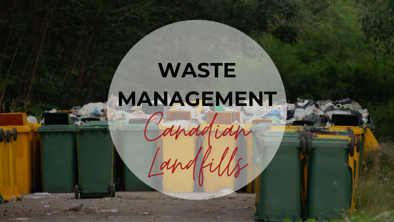 Revolutionizing Waste Management: How Sol Recycling Is Transforming ...